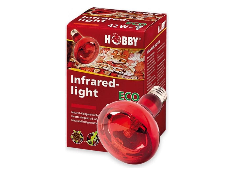 Infrared Halogen Spotlight Eco 70W – Pets Qatar Infrared Halogen Spotlight Eco 70W – Pets Qatar