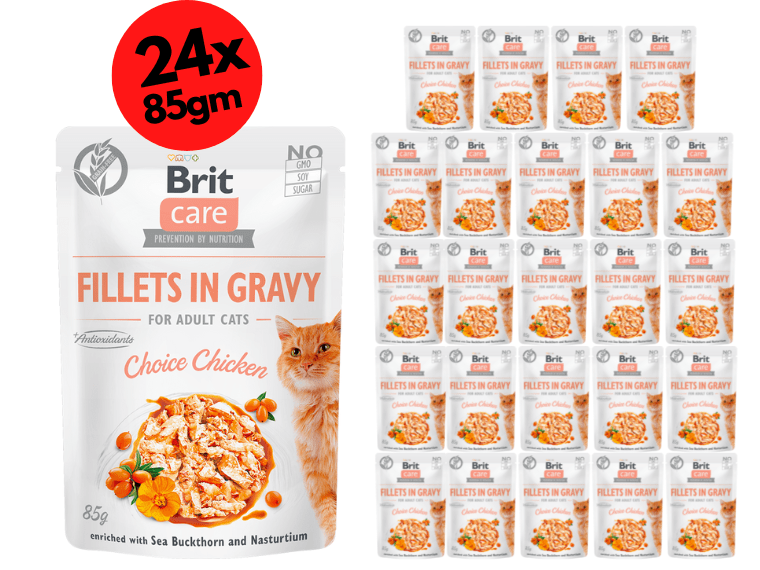 Brit Care Cat Fillets in Gravy Choice Chicken 24x85g – Pets Qatar