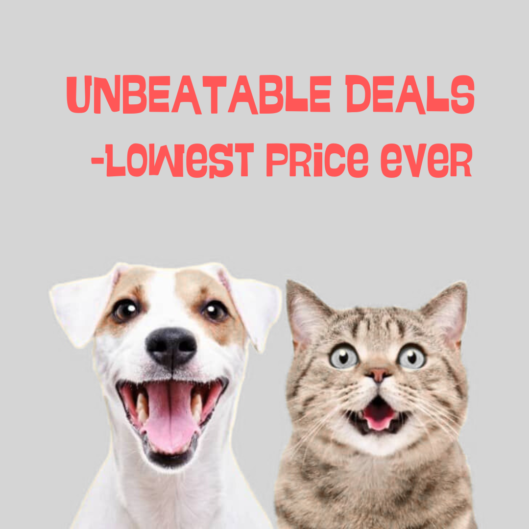 Unbeatable Deals – Pets Qatar