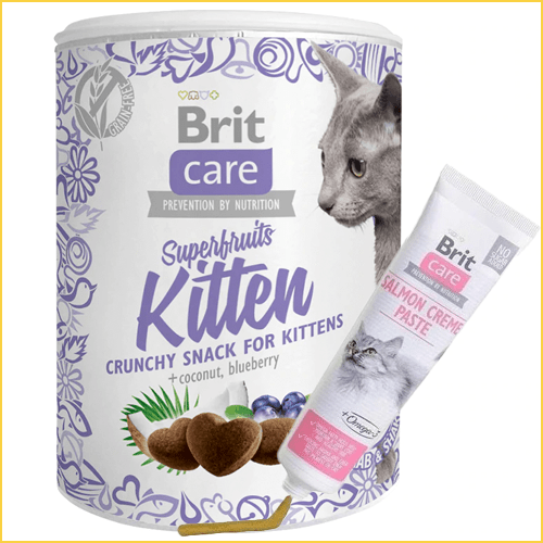 Delicious Cat Treats & Snacks for Your Feline Friend – Pets Qatar