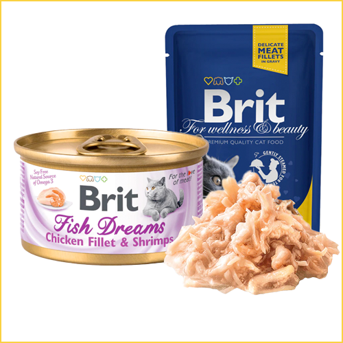 Cat Wet Food - Nutritious & Delicious Meals for Cats – Page 12 – Pets Qatar