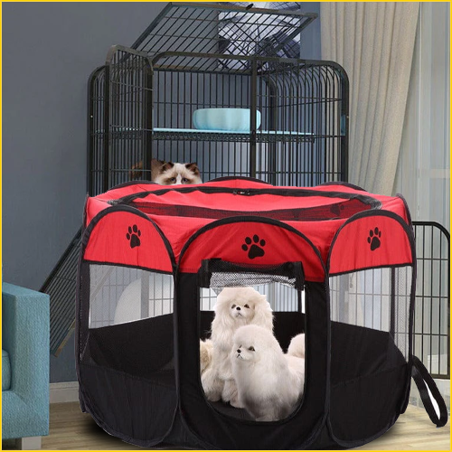Ultimate Home for Cat - Comfort & Safety at PetsQtr – Page 2 – Pets Qatar