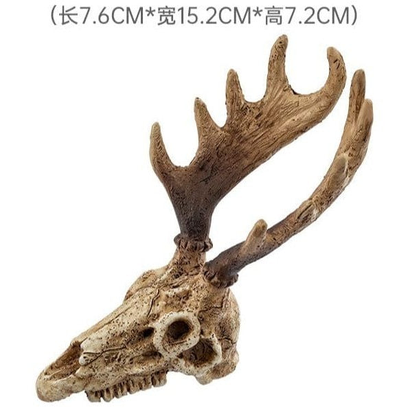 Deer Skull – Pets Qatar