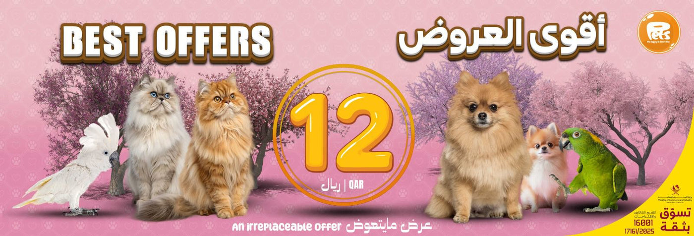 Pets QTR - Your Partner in Pet Food and Accessories – Pets Qatar