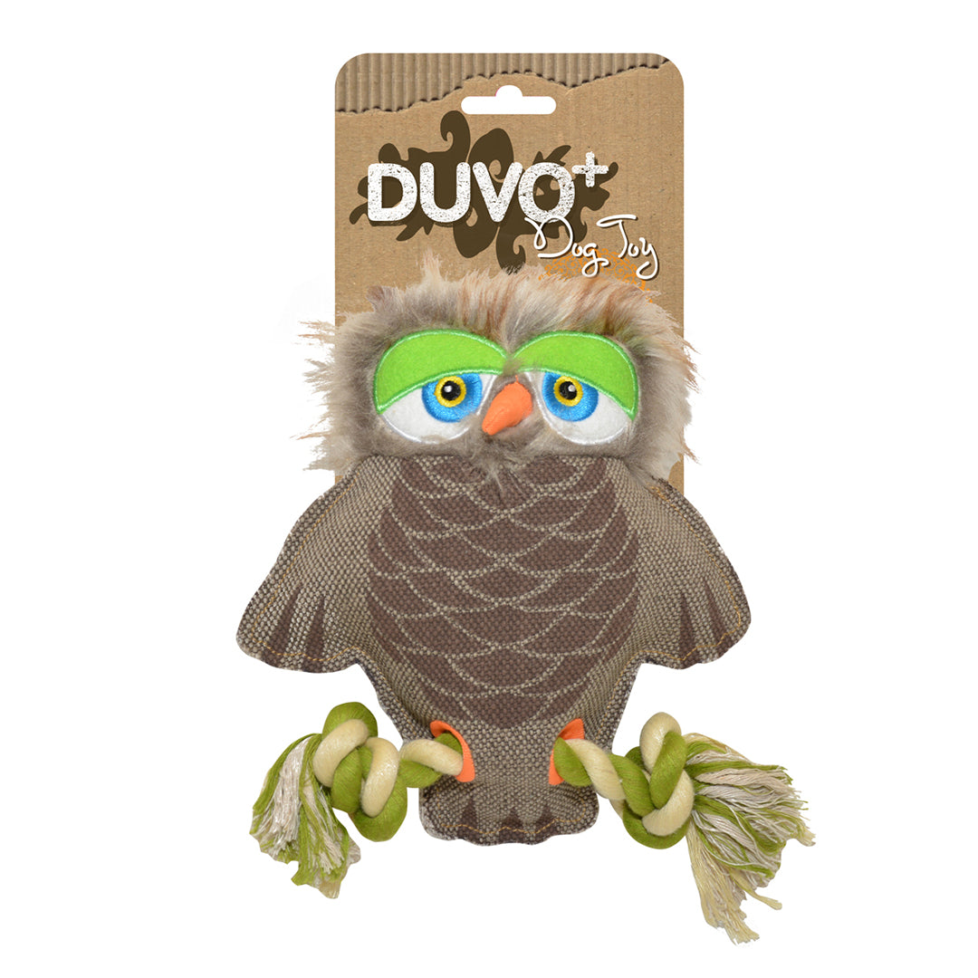 Canvas Owl 20x18cm – Pets Qatar