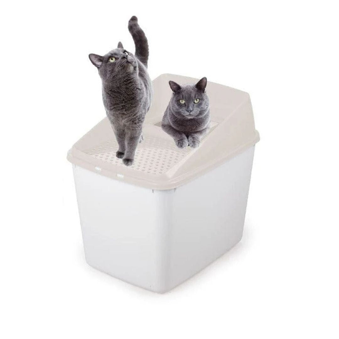 AFP Go Fresh-No Mess litter Box – Pets Qatar