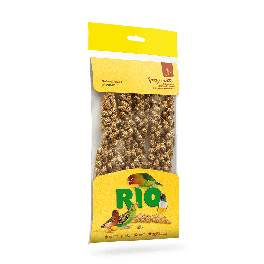 Rio Spray Millet. Natural Treat For All Birds, 100 G – Pets Qatar
