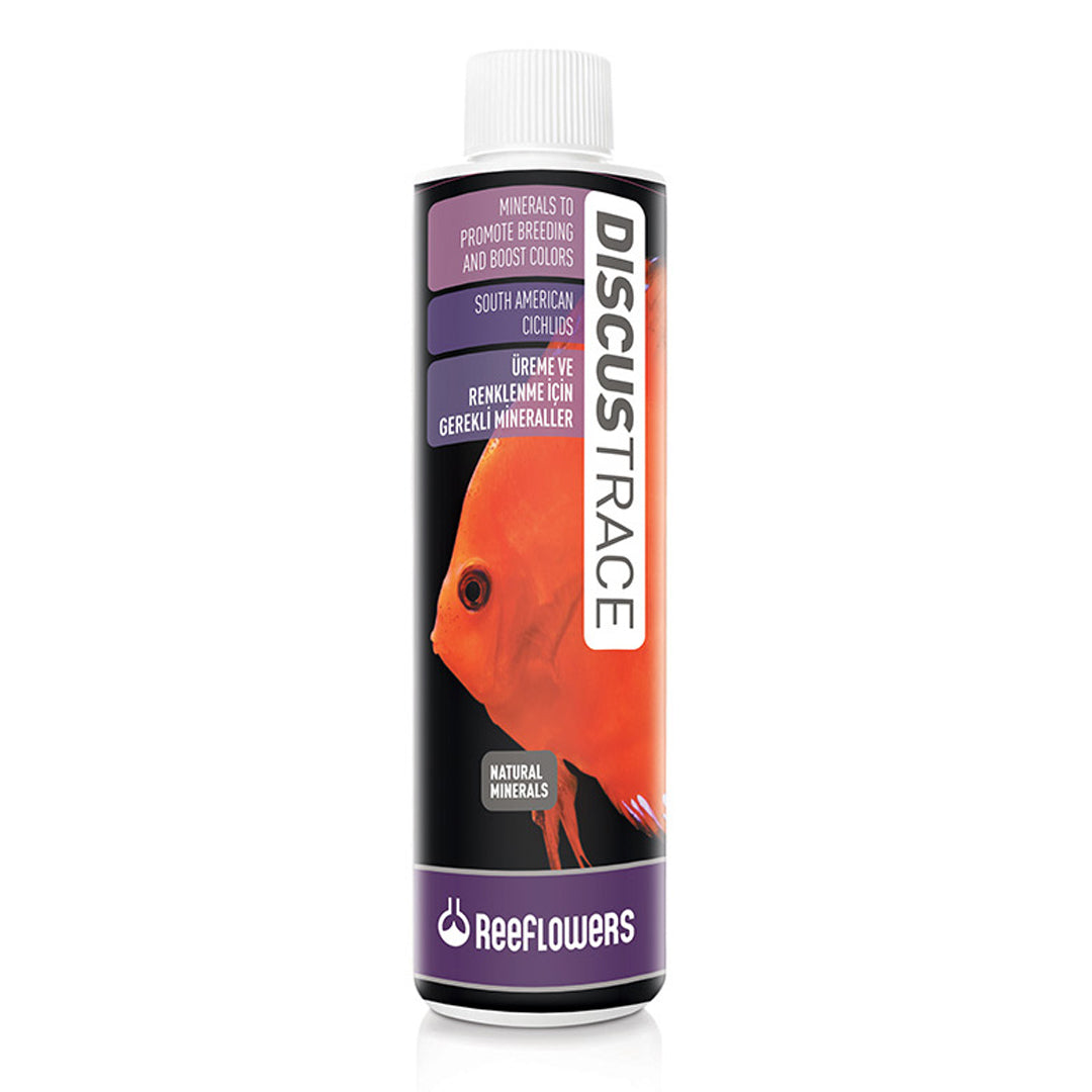 Discus Trace – Pets Qatar