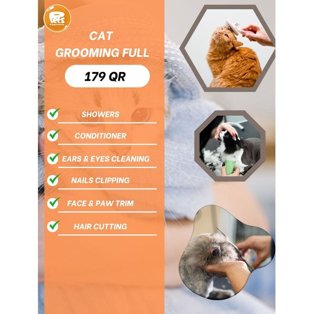 cat Grooming Full – Pets Qatar