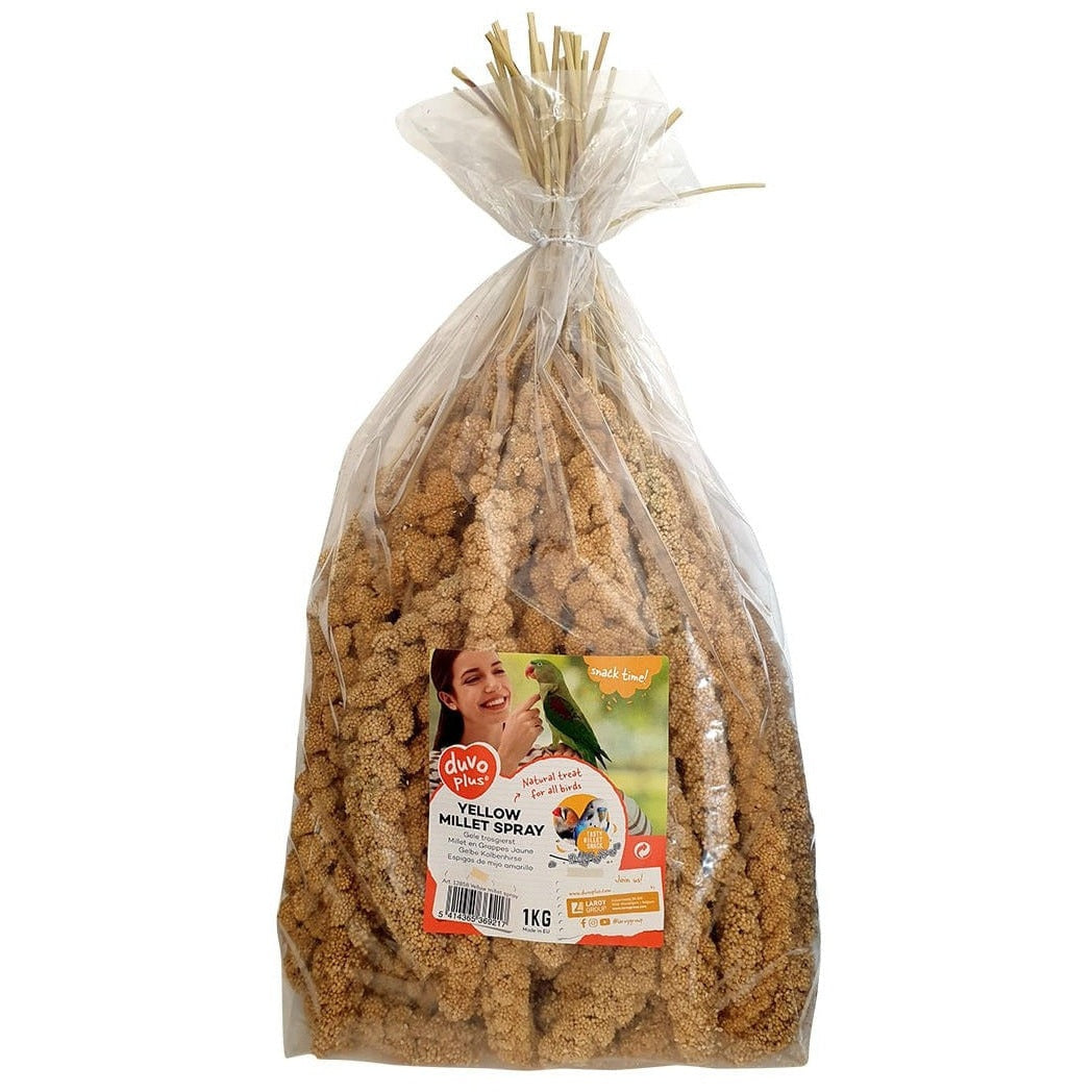 Millet Spray Yellow 1Kg – Pets Qatar