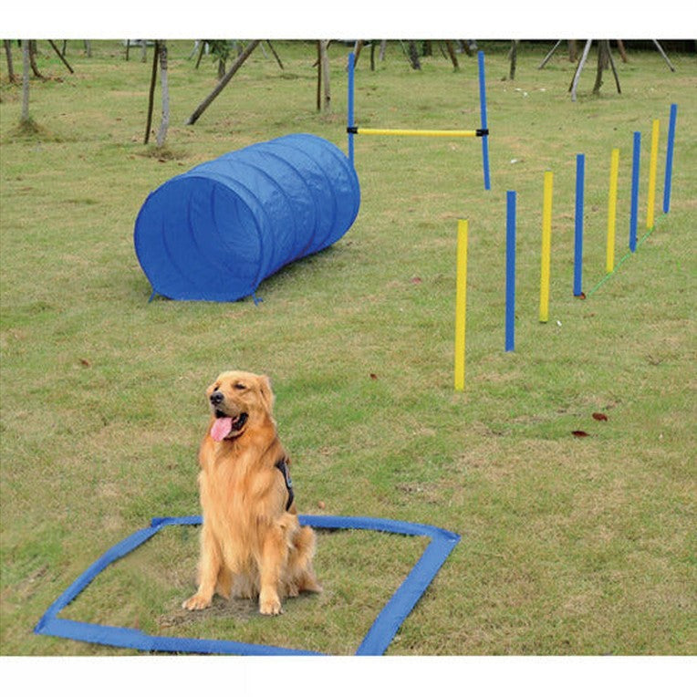 PAWISE dog training set – Pets Qatar