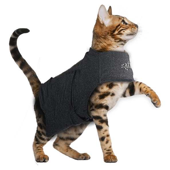 AFP Calming Pals-Cat Anti Anxiety Vest – Pets Qatar