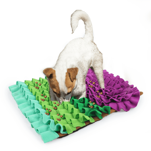 AFP Dig It-Rectangle Fluffy Mat – Pets Qatar