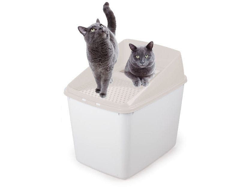 AFP Go Fresh-No Mess litter Box – Pets Qatar