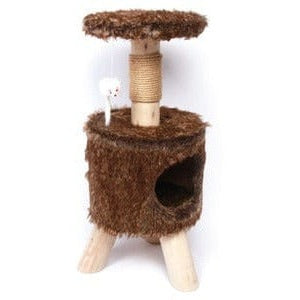 CASTOR – Pets Qatar