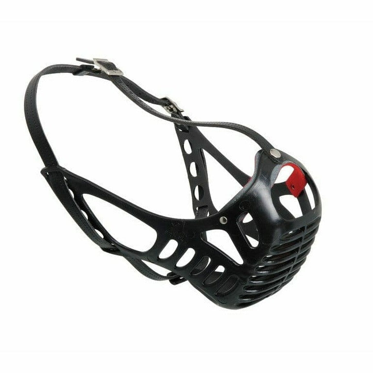 Plastic Muzzle for Boxer Dog - Secure & Comfortable | Pets Qatar